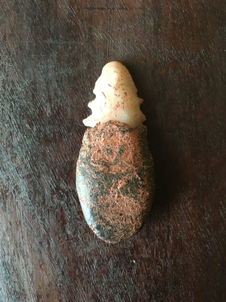 Early stone knife (SK1) - Southern Cross Antique Arms